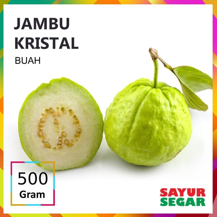 Jual JAMBU BIJI KRISTAL SEGAR [500g] - Jakarta Selatan - SAYUR SEGAR ...