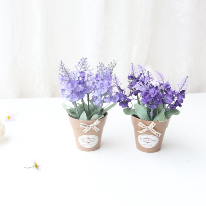 17+ Contoh Gambar Bunga Lavender Terbaru - Informasi Seputar Tanaman Hias