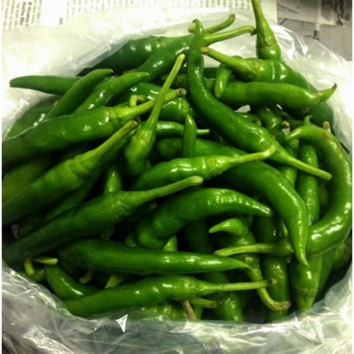 Jual Cabe ijo besar / hijau gede - Jakarta Pusat - Bumbu Pusako minang ...
