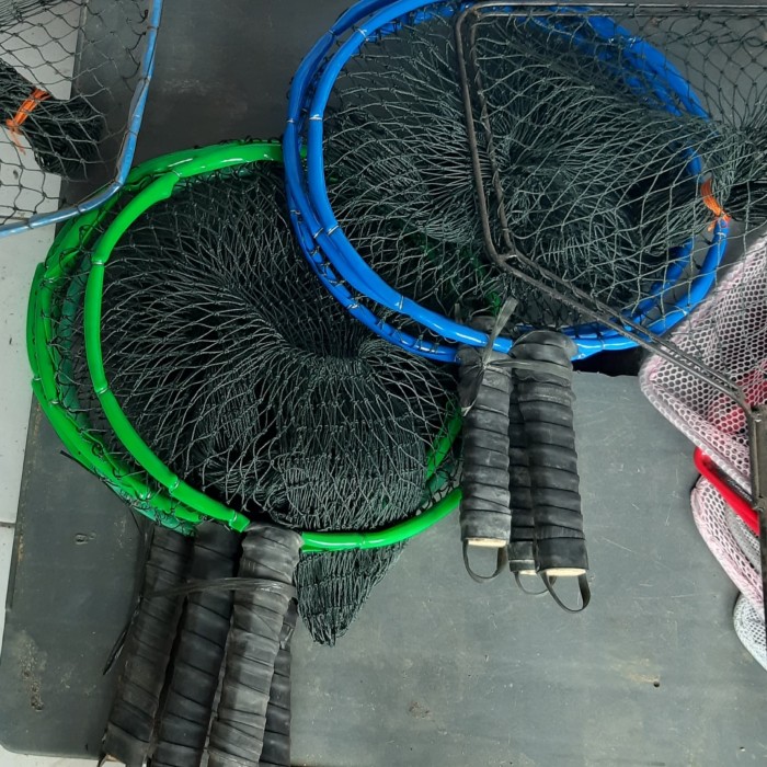 Jual serokan/seser bulat ikan konsumsi - Jakarta Timur - Lele mukidi ... Jual serokan/seser bulat ikan konsumsi - Jakarta Timur - Lele mukidi ...