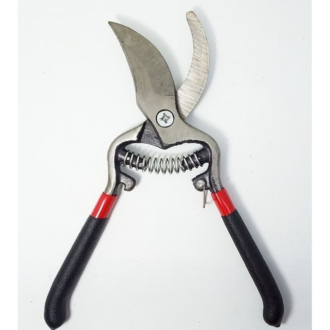 Jual Gunting Potong Dahan Ranting Tangkai Bunga Daun BESI 8 Inch ...