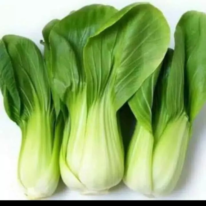 Jual sayur pakcoy - Jakarta Barat - ADIAKUDA | Tokopedia