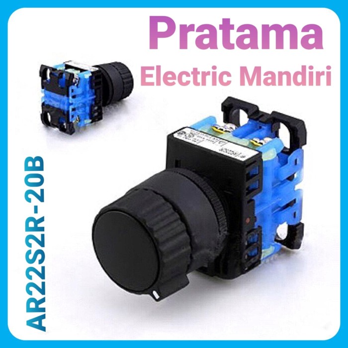 Jual Push Button Selector Switch Diameter 22mm AR22 S2R-20B FUJI ...