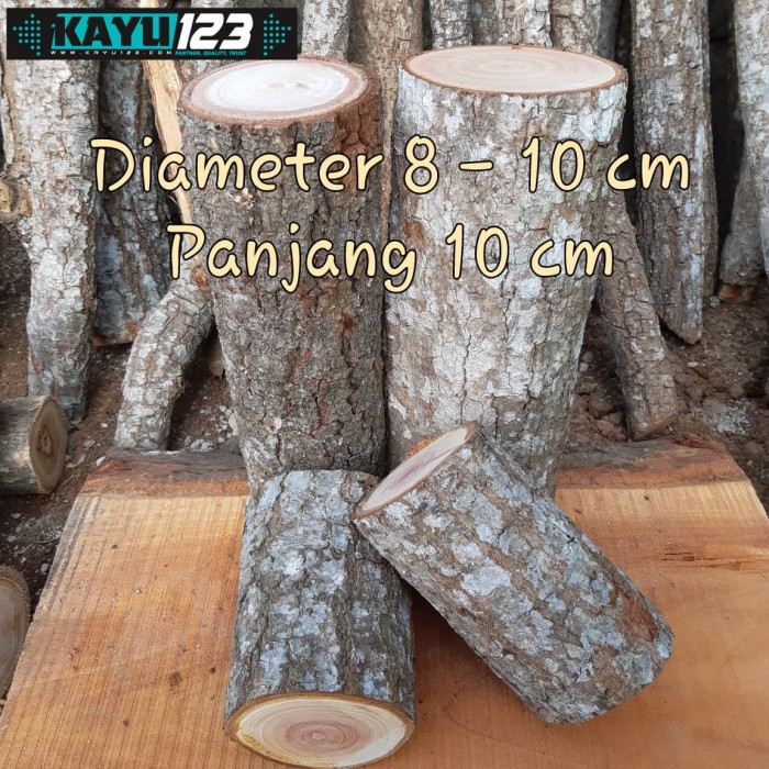 Jual Wood log Mahoni 8-10 cm Panjang 10 cm Potongan Kayu Log Mahoni (WL ...