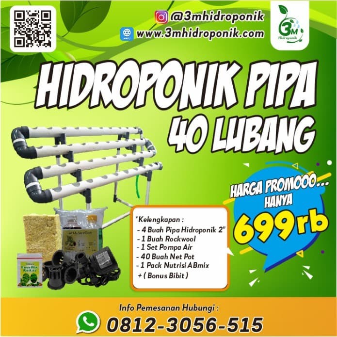 Jual PAKET INSTALASI HIDROPONIK SET STARTER KIT DFT 40 LUBANG 2 In ...